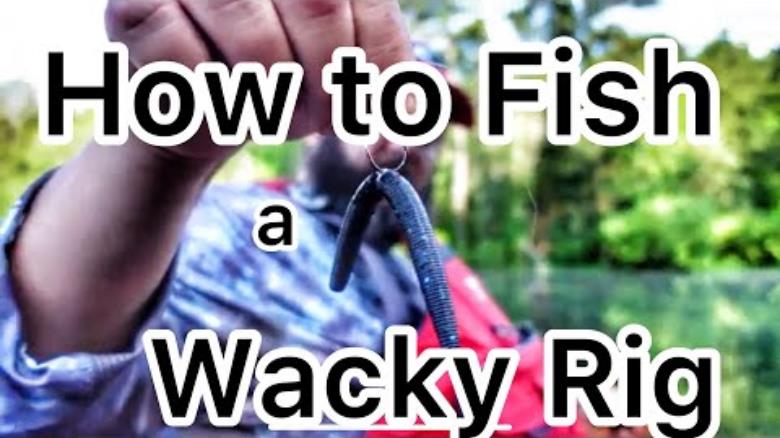Wacky Rig: A Complete Guide on Rigging, Setups, and How to